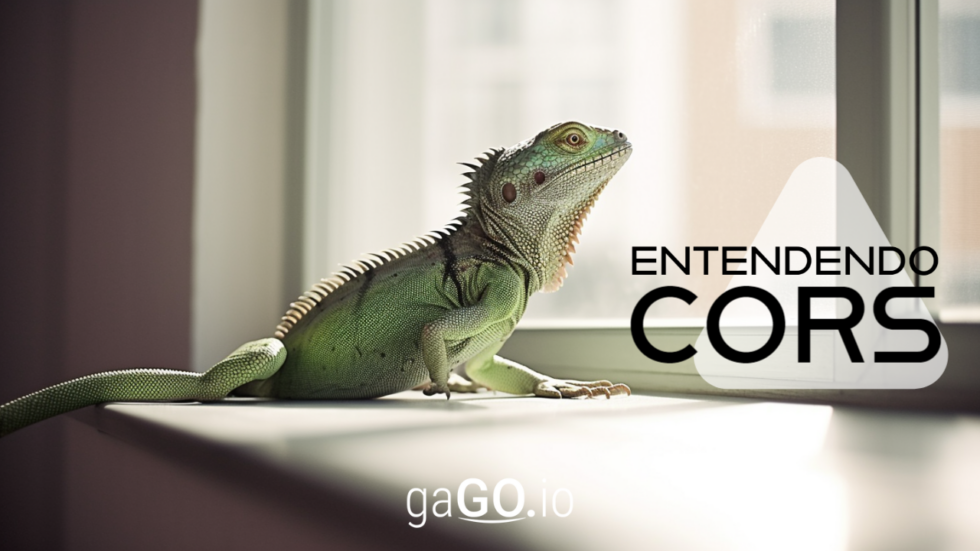 Entendendo CORS | gaGO.io
